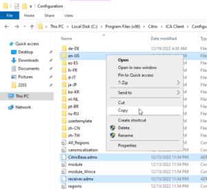 Citrix Workspace app 2409.10 – Carl Stalhood