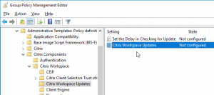 Citrix Workspace app 2409.10 – Carl Stalhood