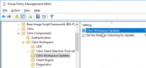 Citrix Workspace app 2409.10 – Carl Stalhood