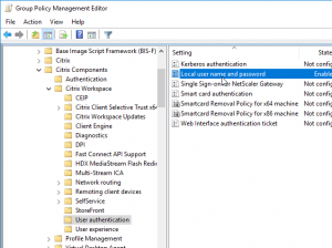 Citrix Workspace app 2409.10 – Carl Stalhood