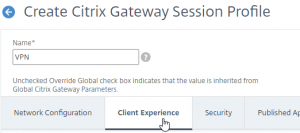 SSL VPN – Citrix Gateway – Carl Stalhood