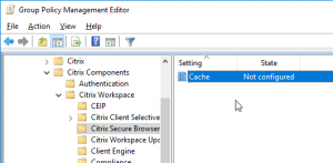 Citrix Workspace app 2409.10 – Carl Stalhood