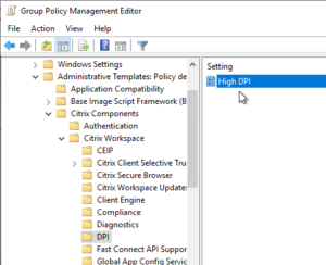 Citrix Workspace app 2409.10 – Carl Stalhood